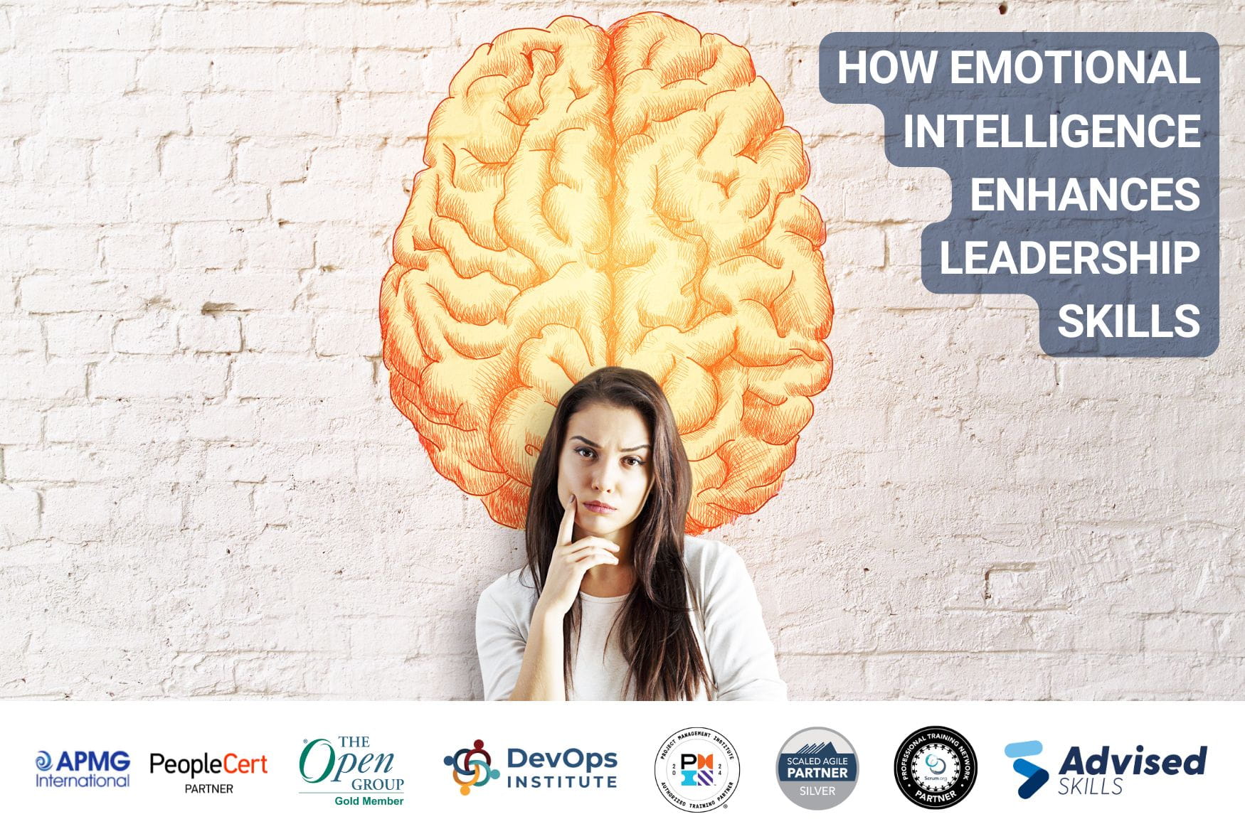 Leadership Development Brain How Whole Brain® Thinking Supports
